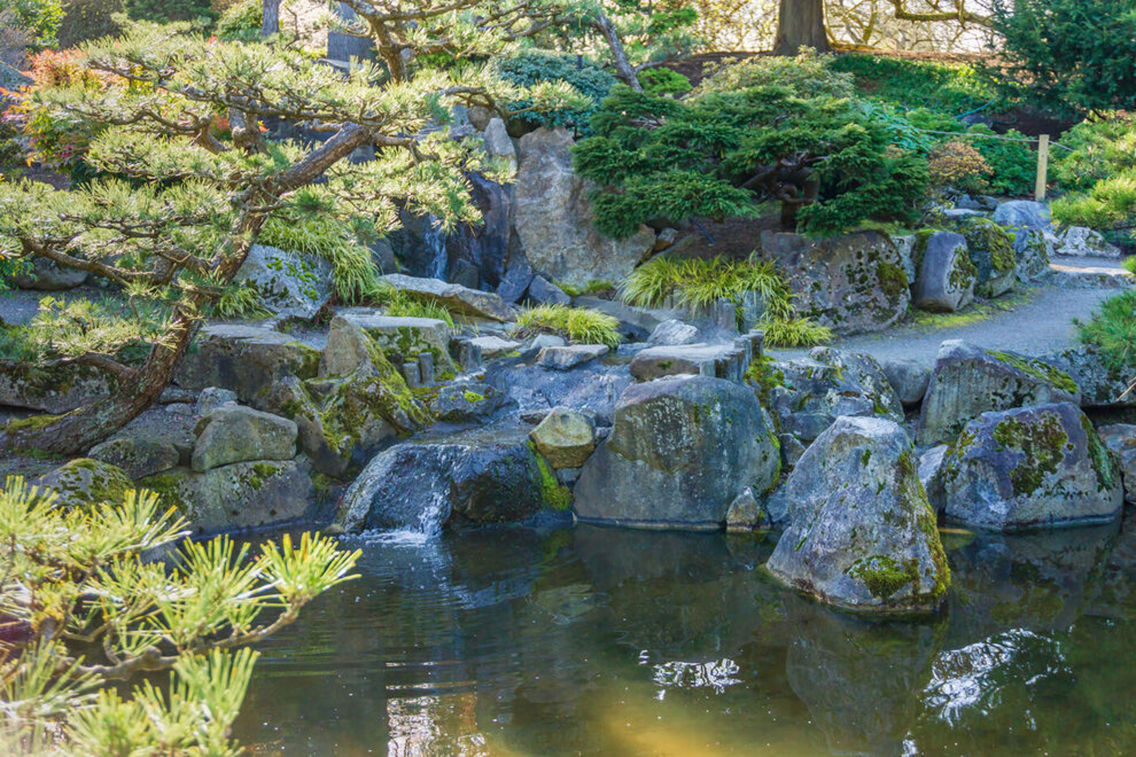 Highline SeaTac Botanical Garden: 2026 USA TODAY 10BEST Readers' Choice ...