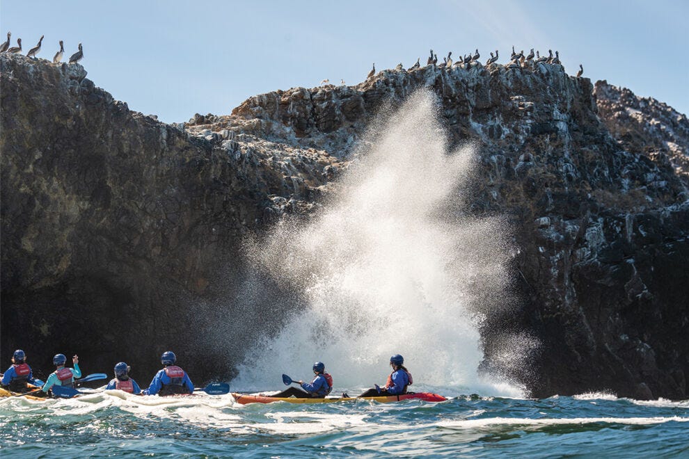 Discover hidden gems on the water with the 10 best kayak tours