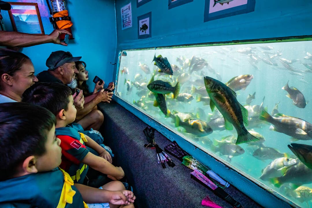 10 best glass bottom boat tours reveal a hidden world