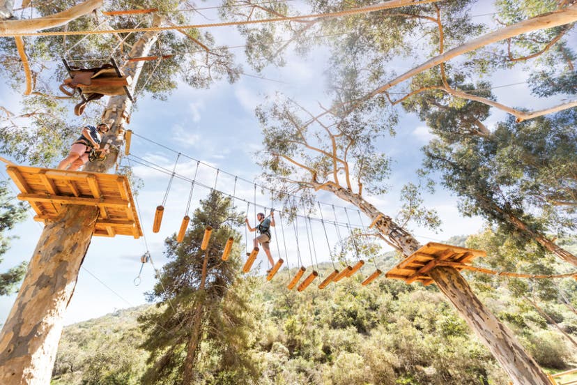 What is the Best Aerial Adventure Park for 2026?
