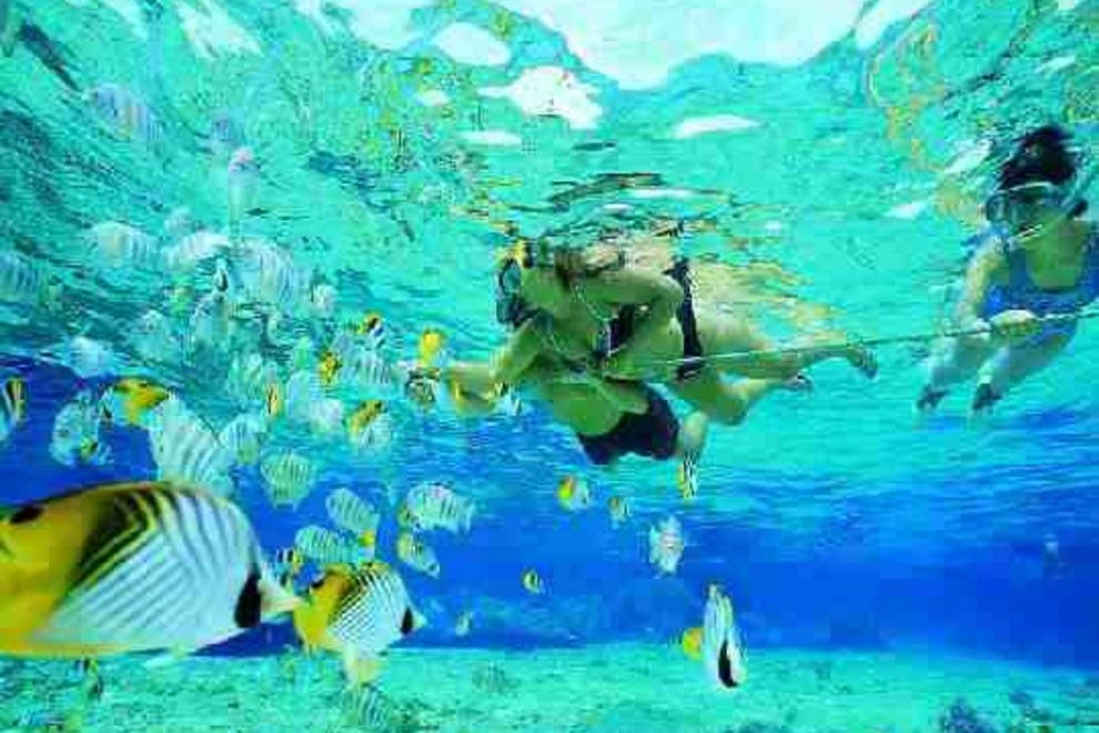 Coki Beach: U.S. Virgin Islands Attractions Review - 10Best Experts and ...