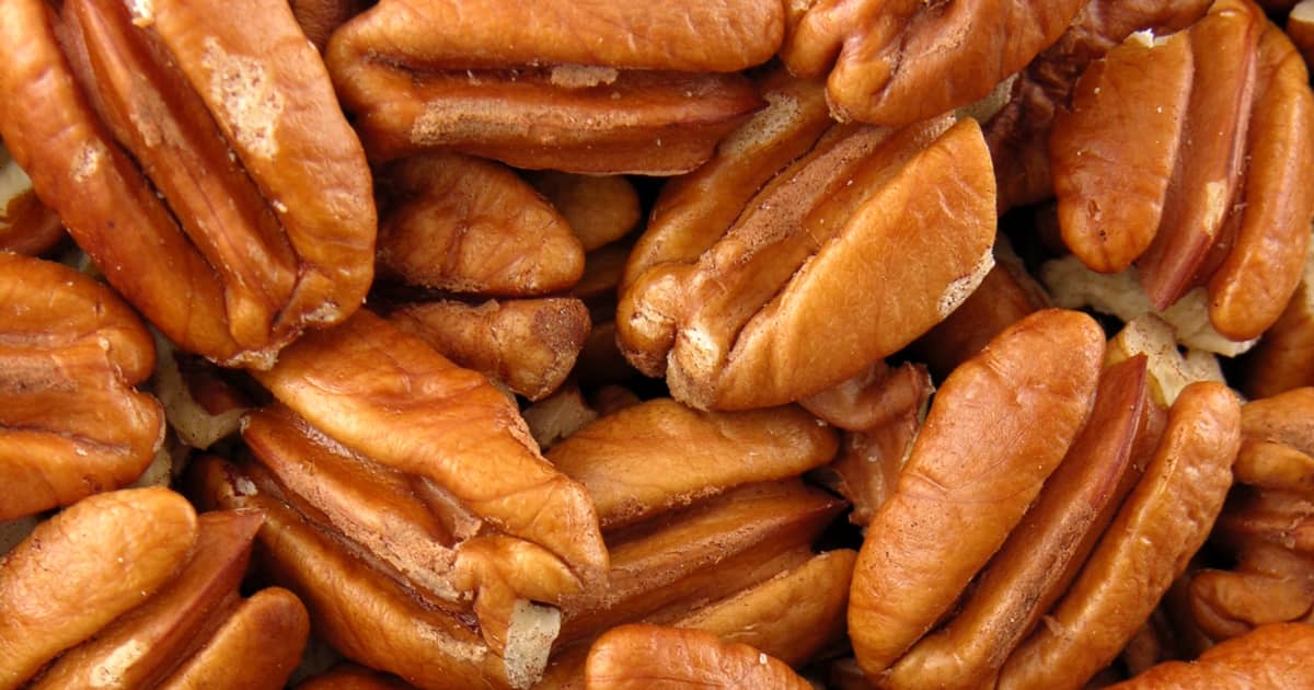 Everything you want to know about pecans