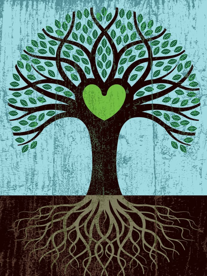 Trace your family roots with DNA travel