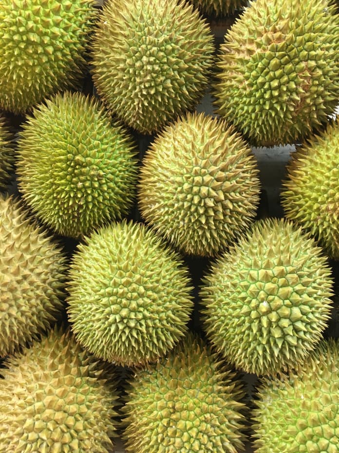 Spiky Fruit That Smells Bad